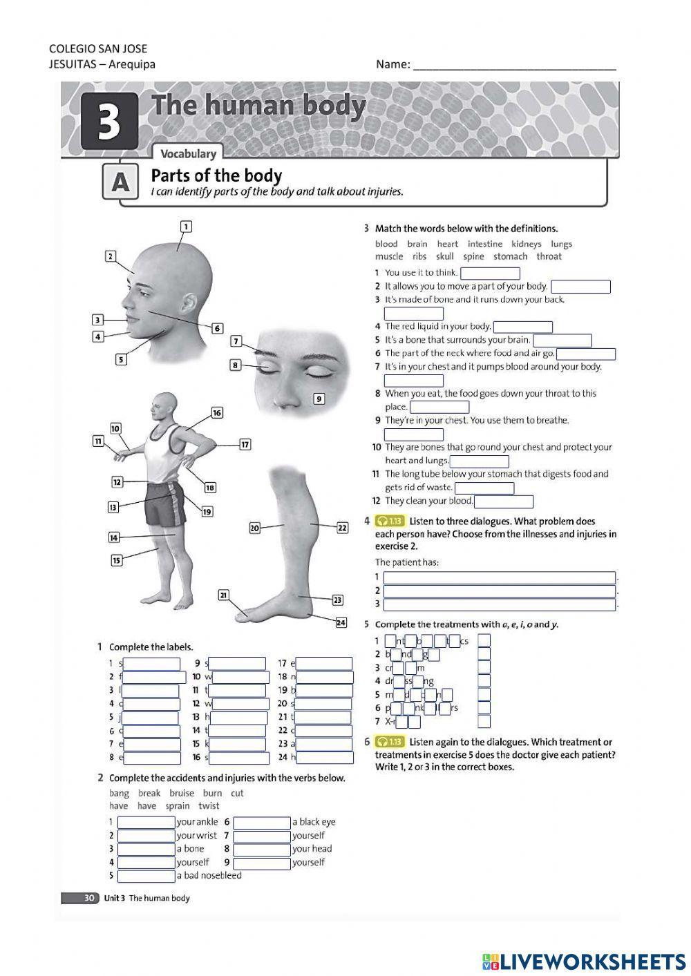 2124550 | Parts of the body | Rafael R. Arenas Quiroz