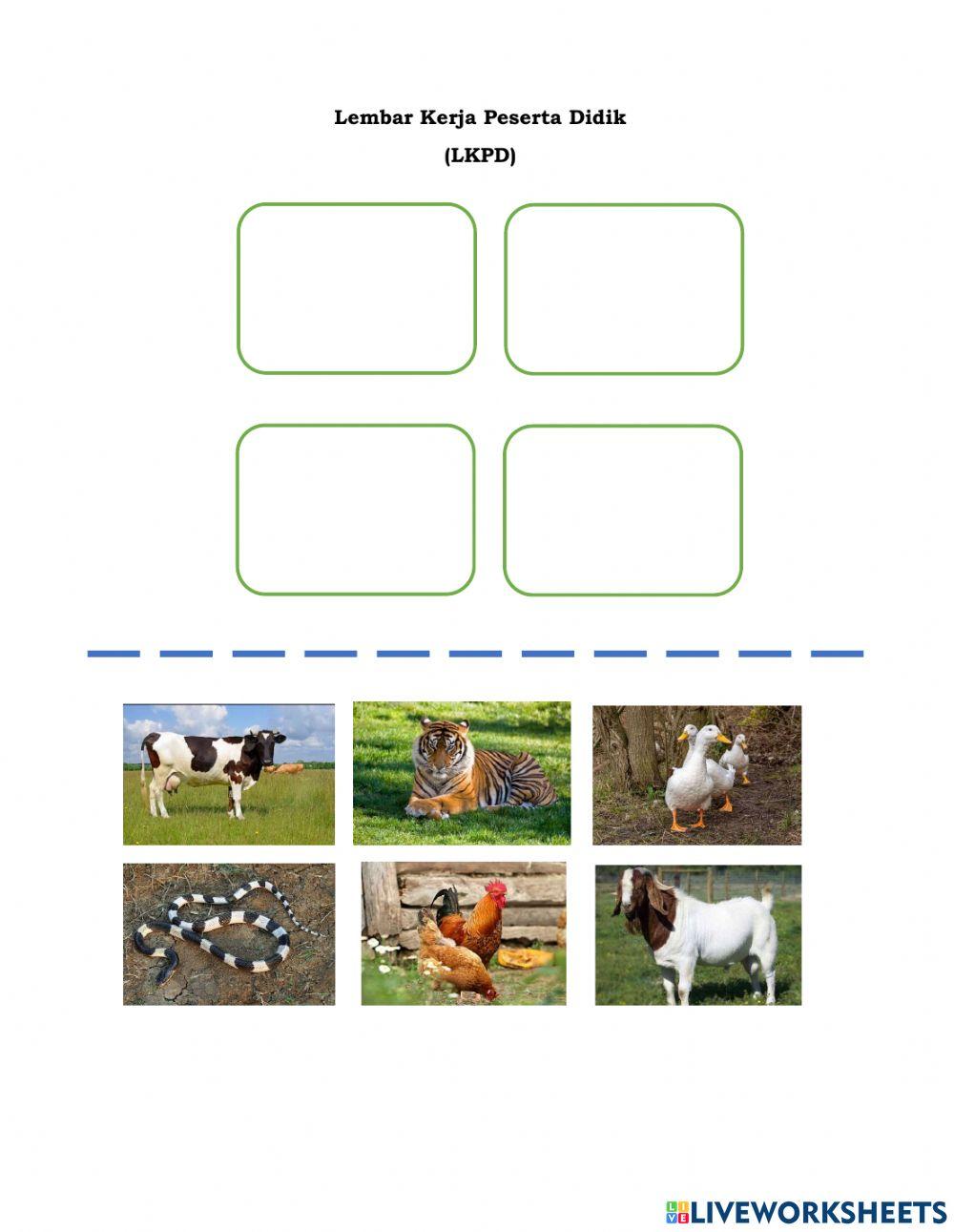Hewan Ternak | Live Worksheets