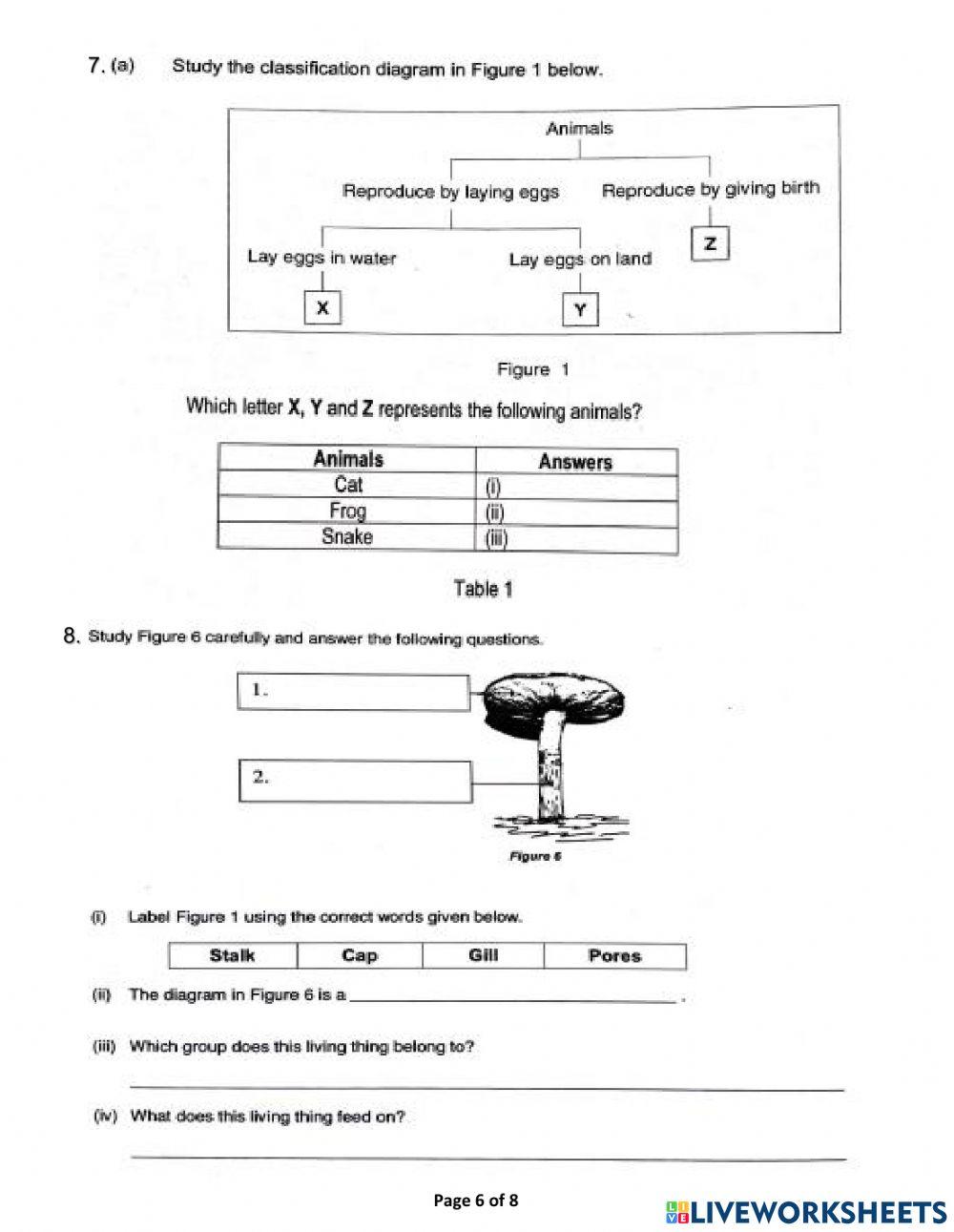 Science Holiday Homework Year 5 - Term 2 (2022) online exercise for ...