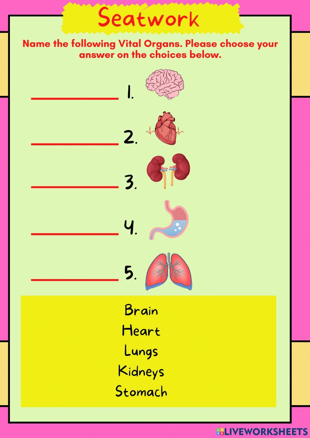 2128861 | Vital Organs | lorieee | LiveWorksheets