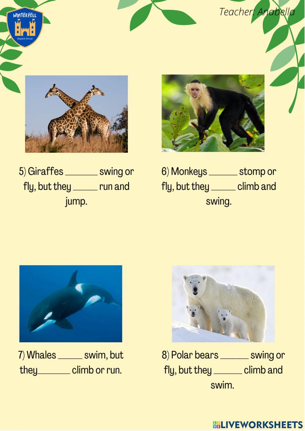 Animal actions 2108200 | AnabellaBarbosa | Live