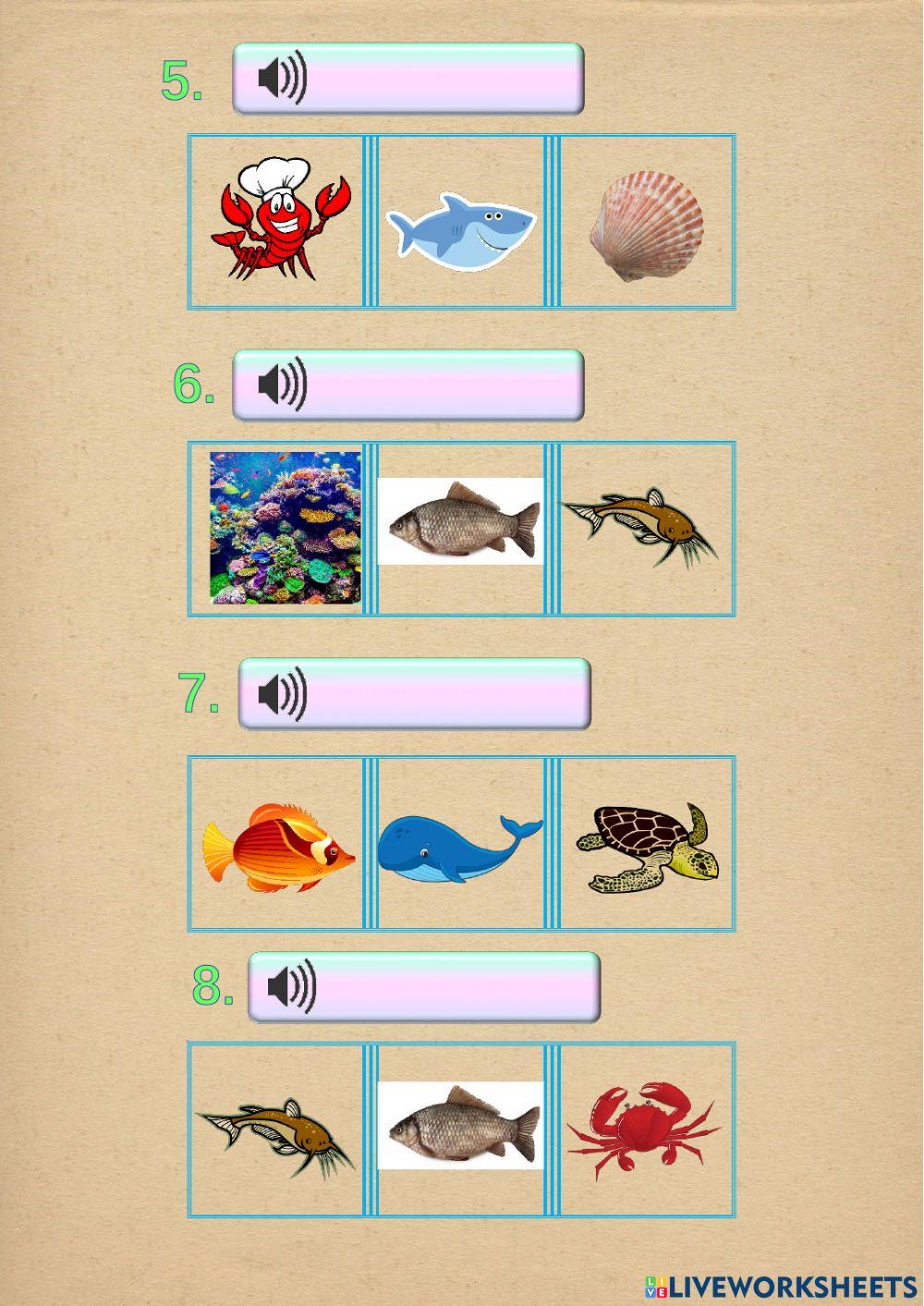 Sea animals + river worksheet | Live Worksheets
