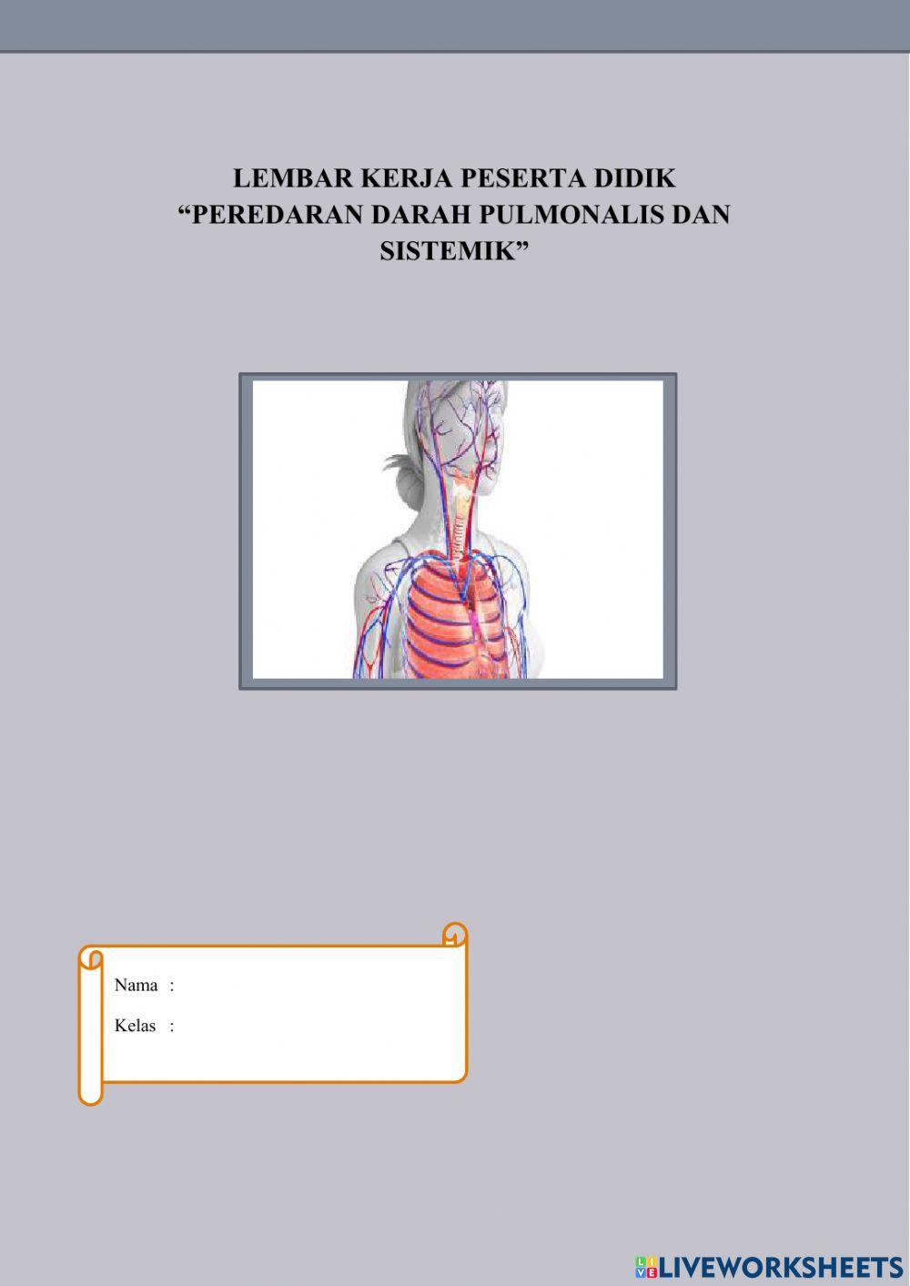 Sma online worksheet | Live Worksheets