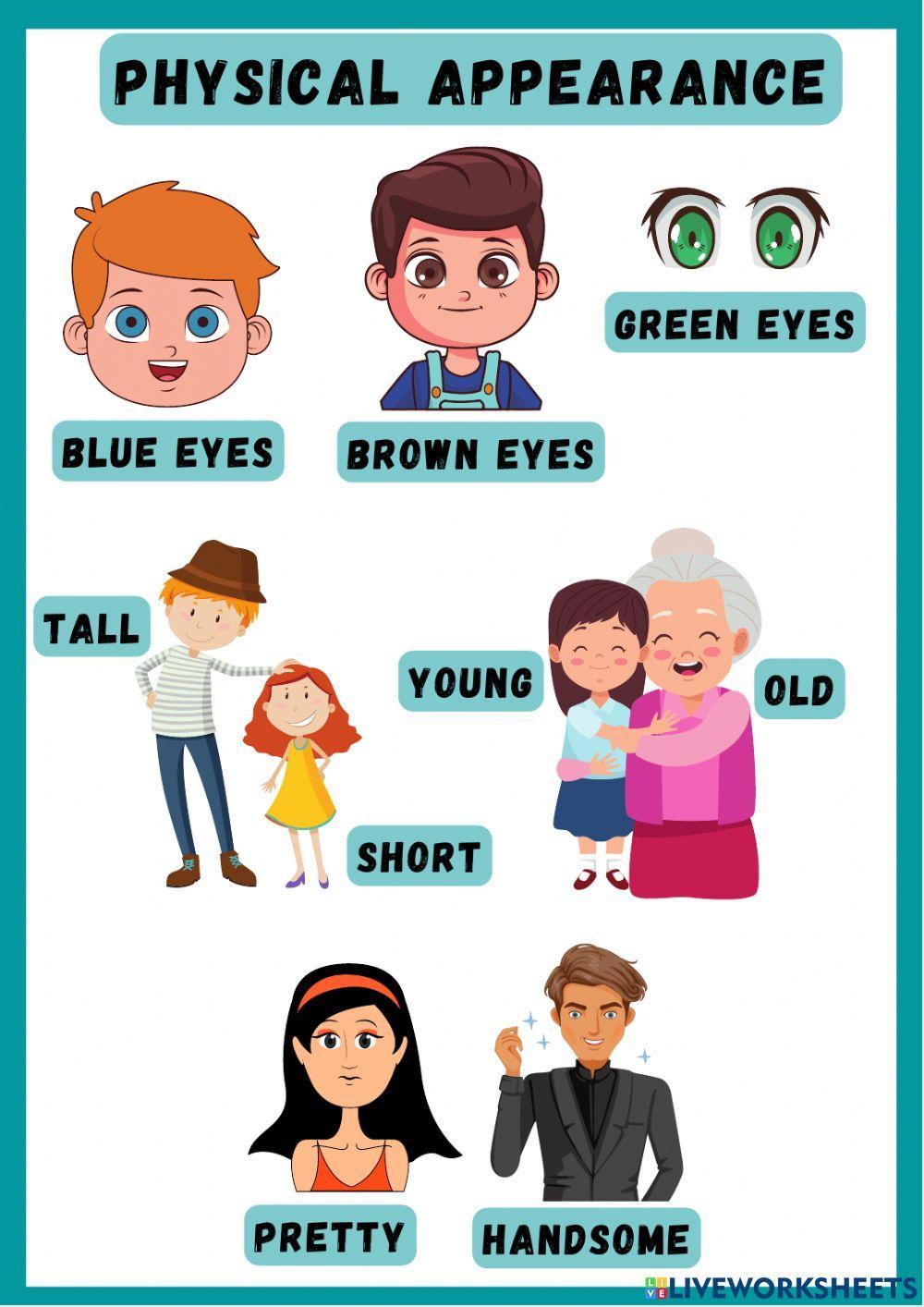 Physical appear… | Free Interactive Worksheets | 2111372