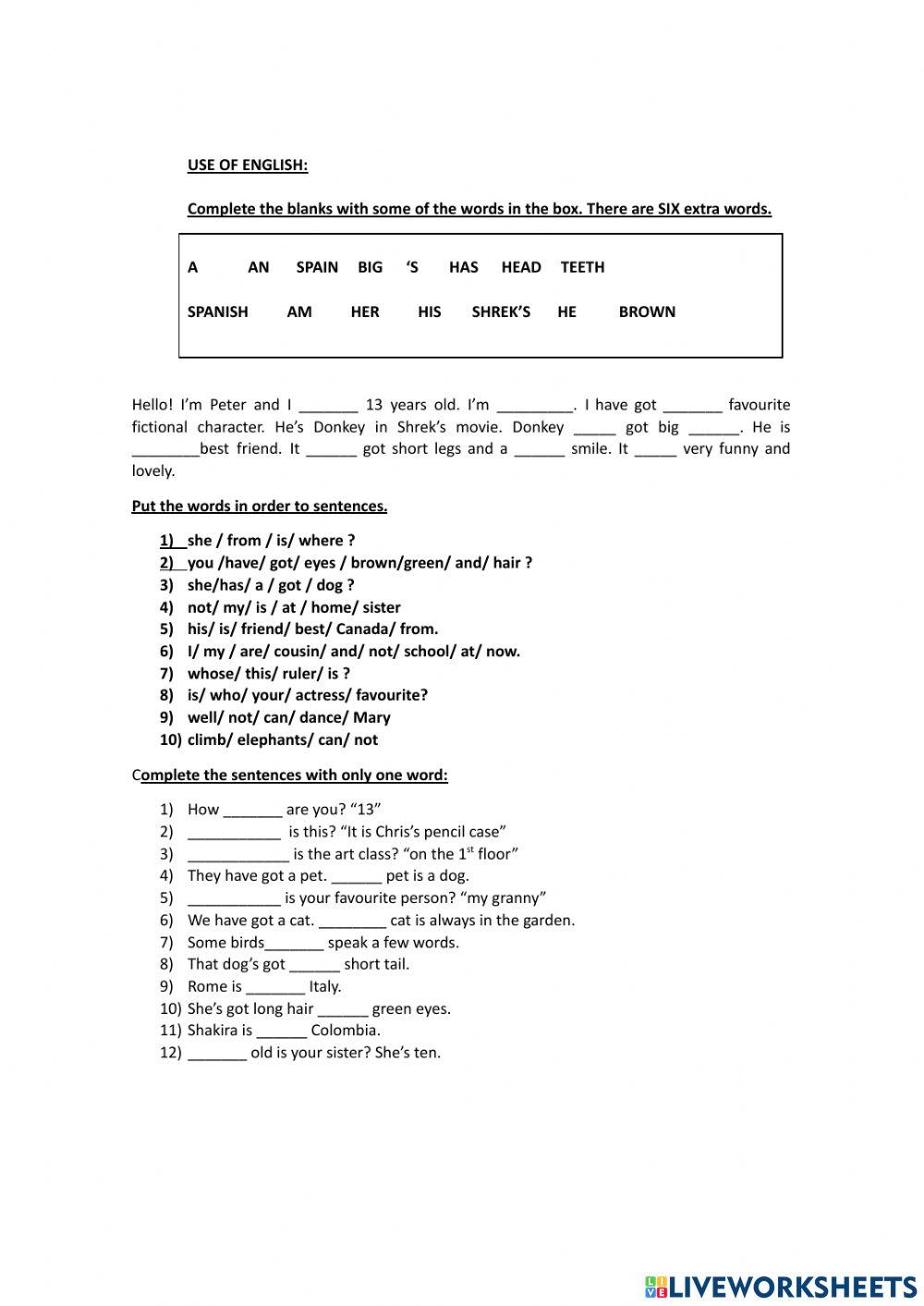 1st Year Exam worksheet | Live Worksheets