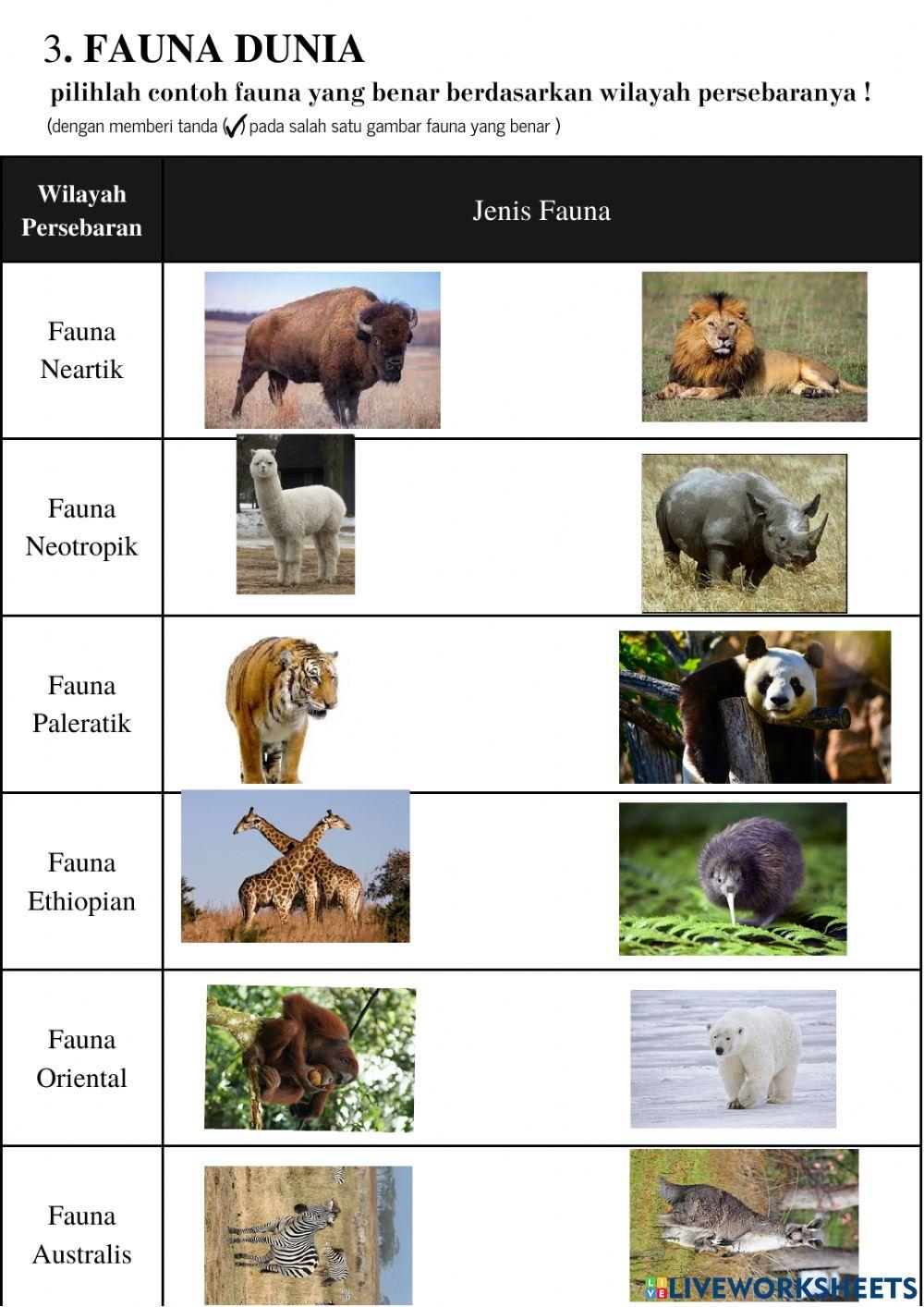 2138122 | Fauna Di Dunia | OPENWIRANATHA