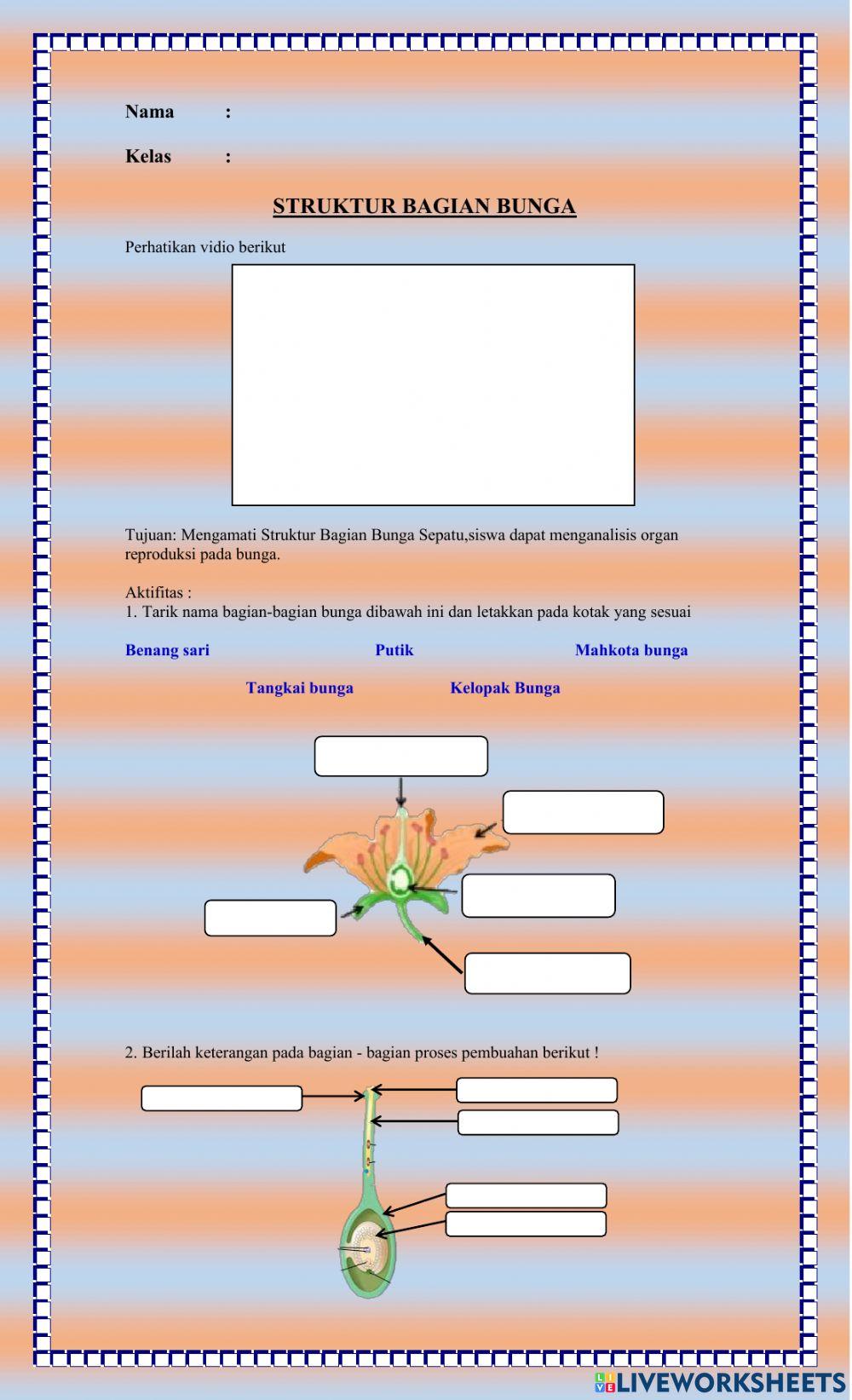 Struktur bagian bunga interactive worksheet | Live Worksheets