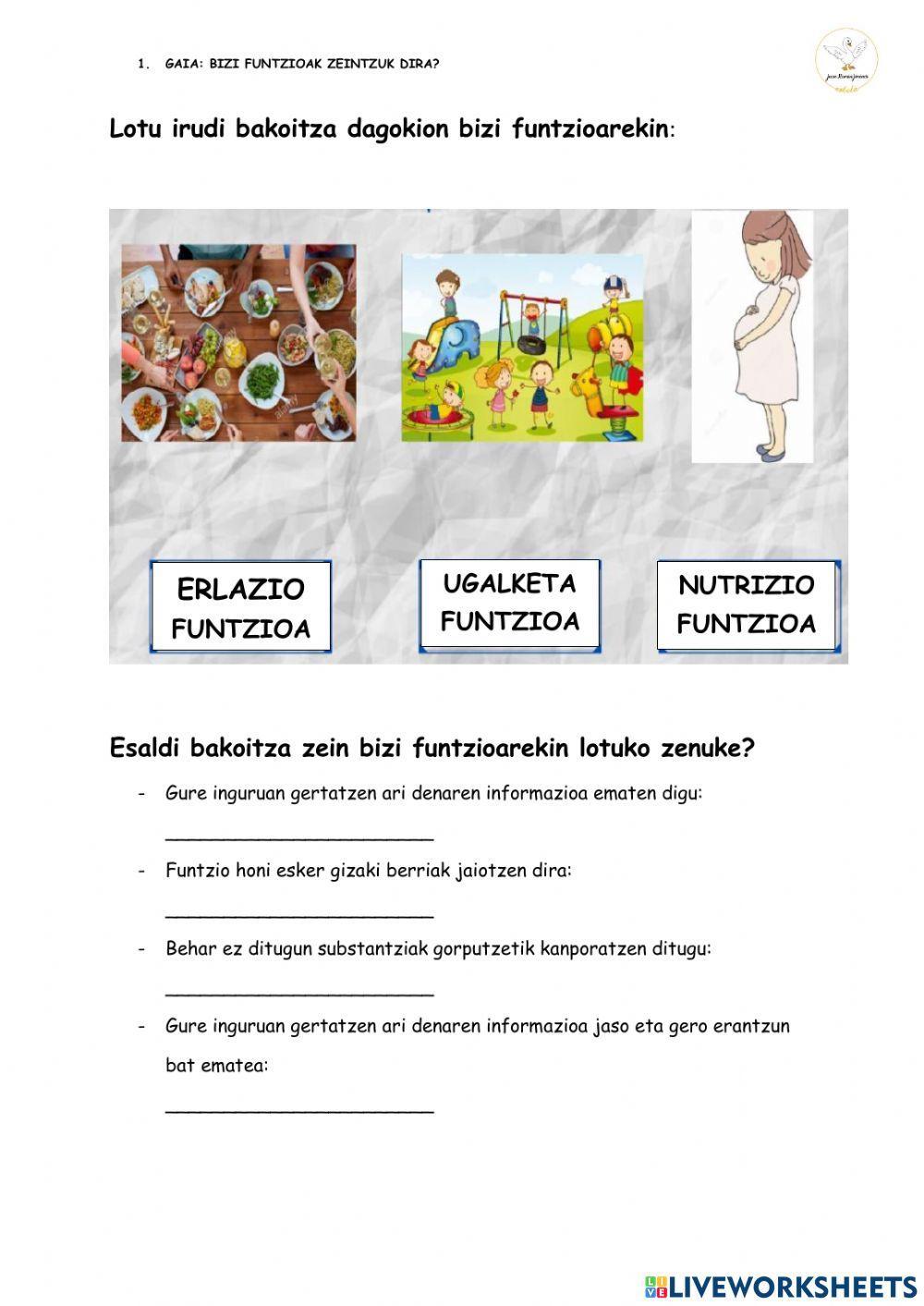 Bizi funtzioak | Free Interactive Worksheets | 2141001