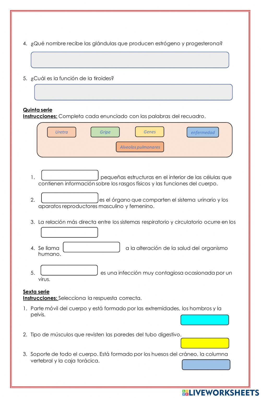 Evaluación de bloque interactive worksheet | Live Worksheets