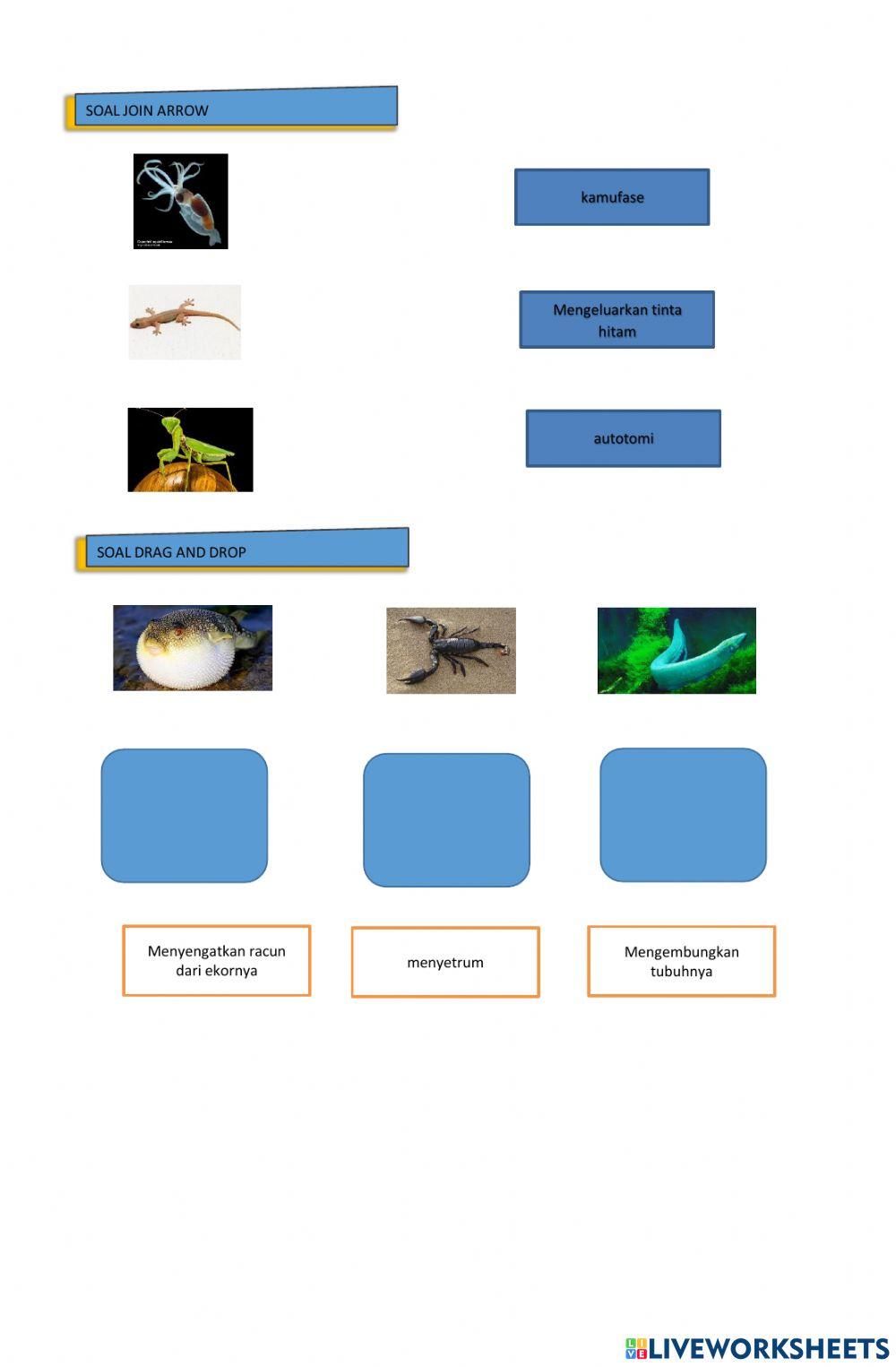 Ipa online exercise for 6 | Live Worksheets