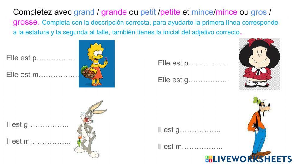 La description physique 1 worksheet | Live Worksheets