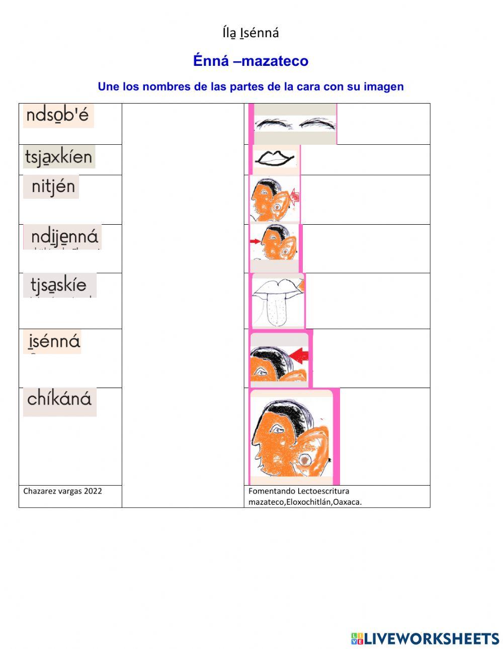Uniendo nombres e imagen partes de la cara worksheet | Live Worksheets