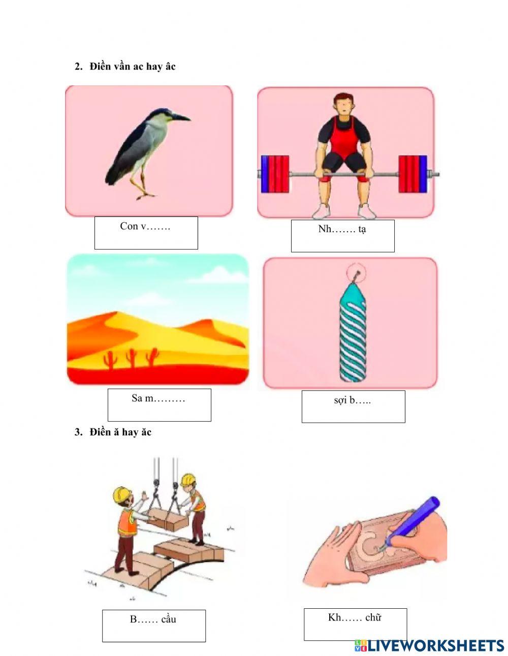 Level 1 - W7 - 1 | Free Interactive Worksheets | 2434386