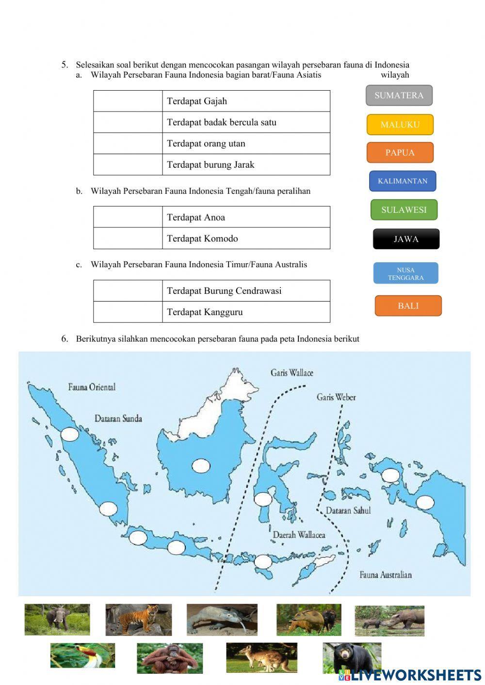 Persebaran flora dan fauna | Live Worksheets