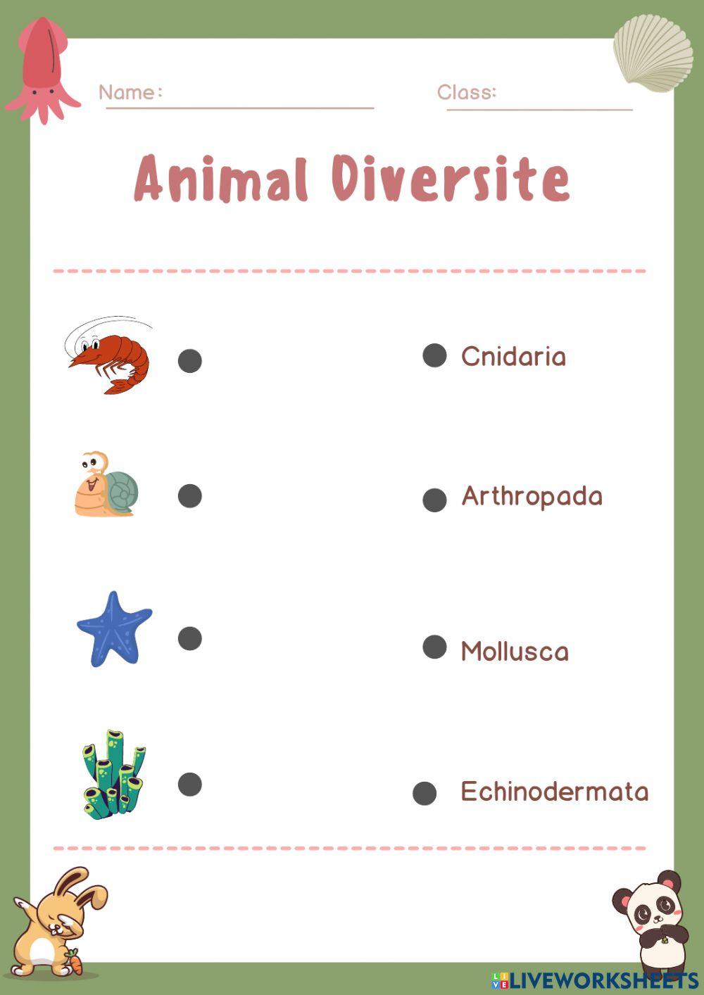 good luck online exercise for | Live Worksheets