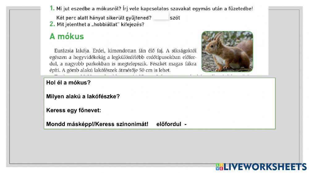 A mókus - szöve… | Free Interactive Worksheets | 2148164
