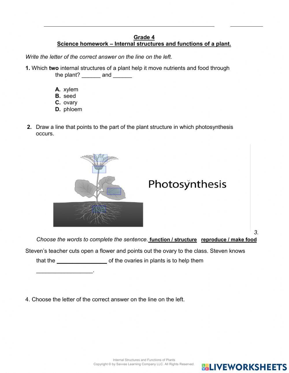Science Internal Structures And Functions Of Plants Worksheet Live