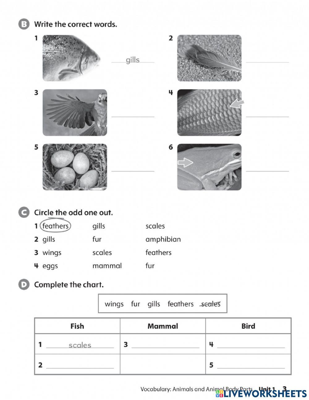 Oxford Discover… | Free Interactive Worksheets | 6901663