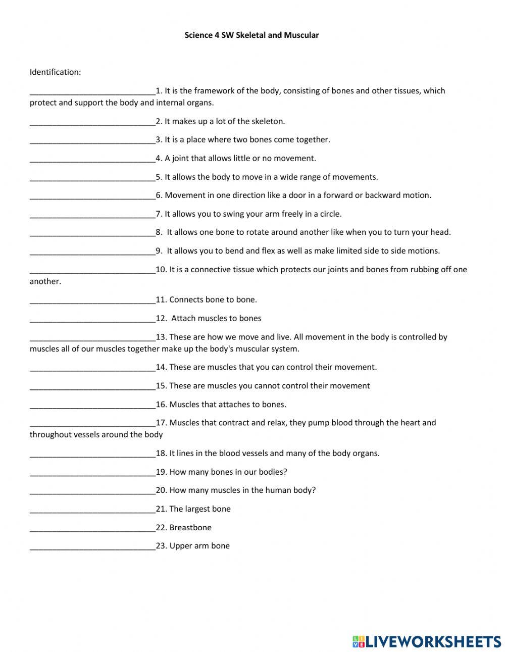 Skeletal and Muscular Seatwork online exercise for | Live Worksheets