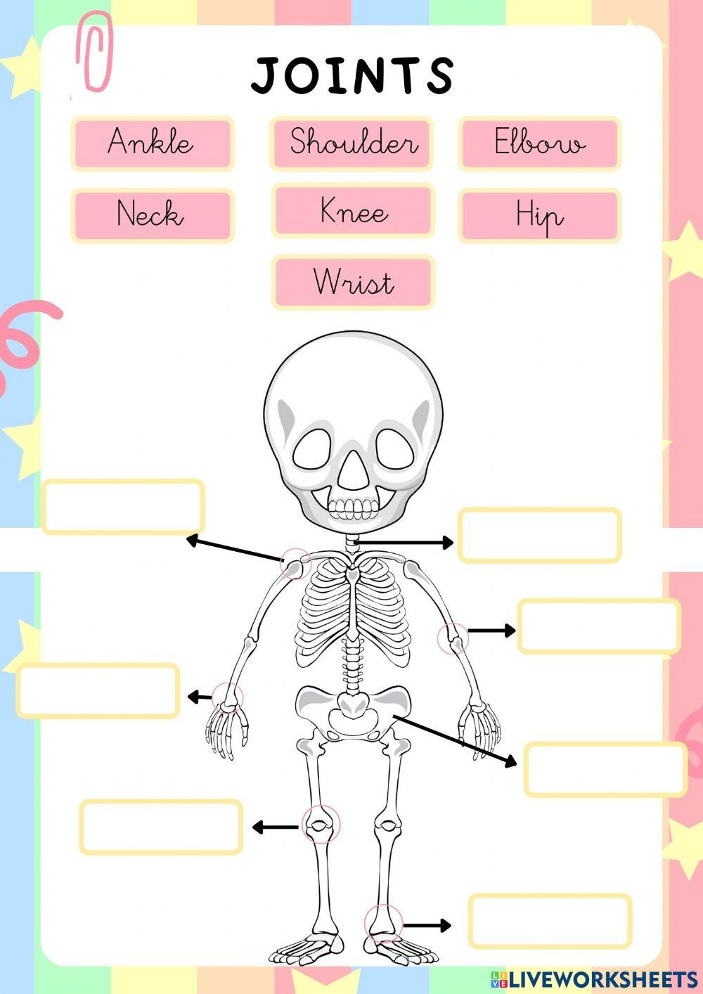 Joints. Unit 1 Natural Science online exercise for | Live Worksheets