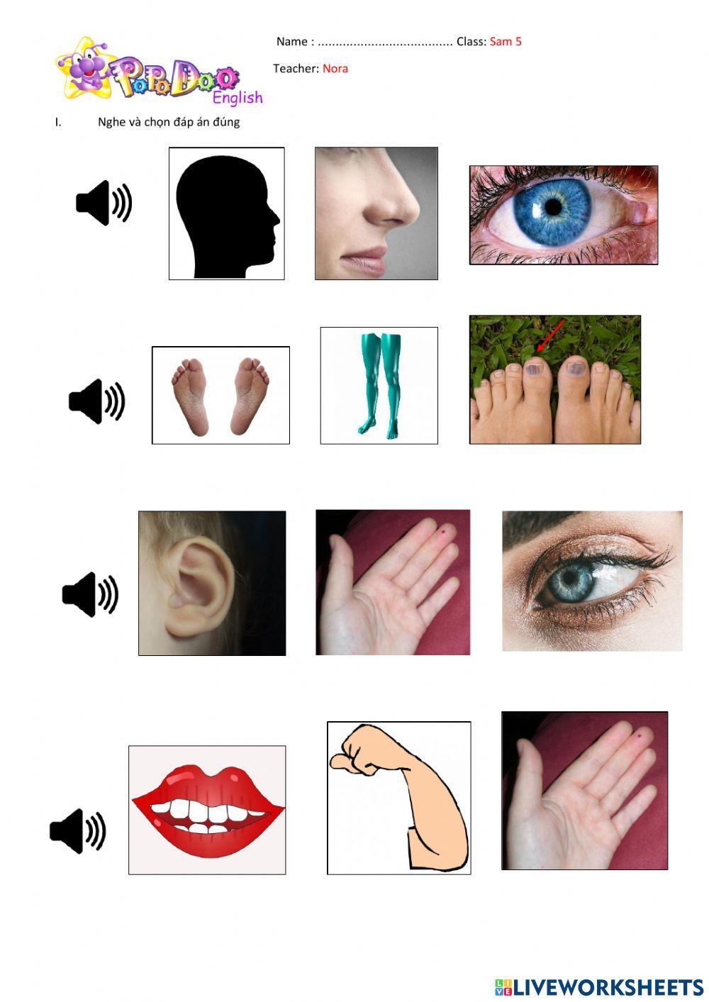 Gmf1 | Free Interactive Worksheets | 2150756