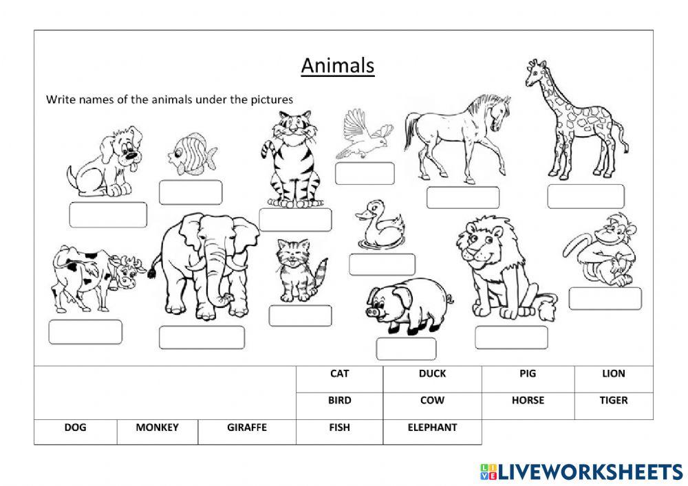Animals review 1 interactive worksheet | Live Worksheets