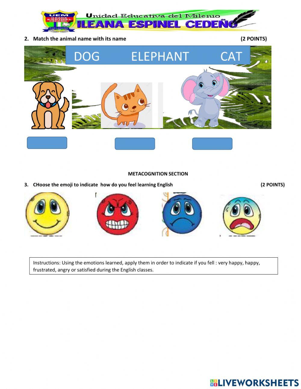 Examen Quimestral 3ro Adp worksheet | Live Worksheets