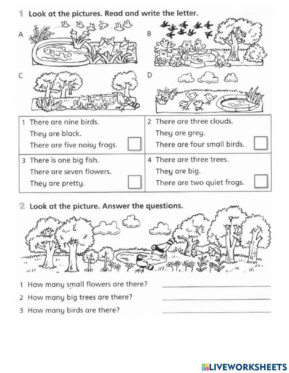 EW 1 u 6 Reading worksheet | Live Worksheets