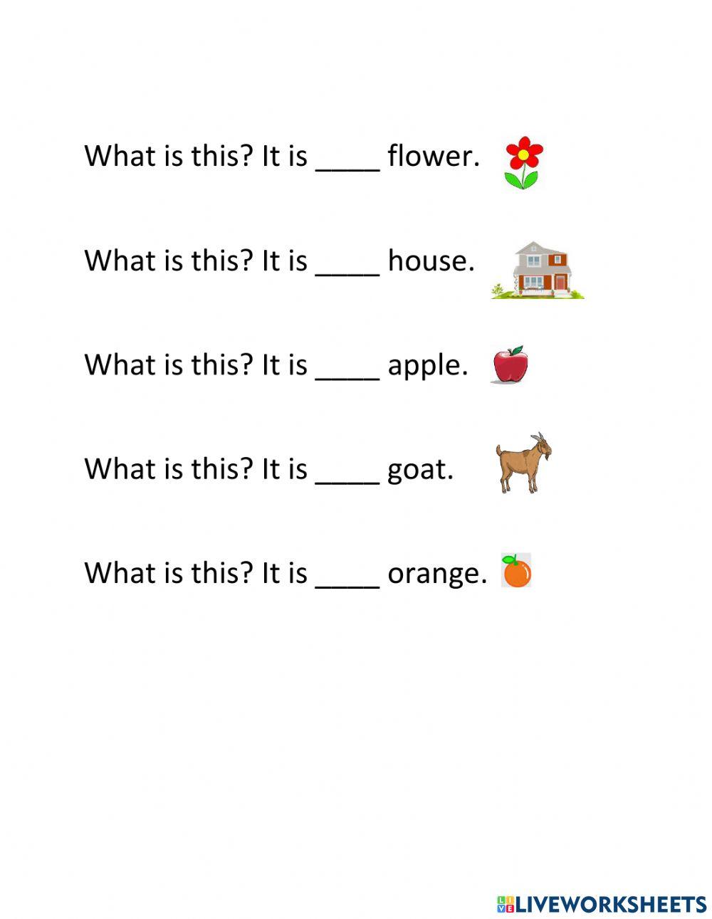 Use of a and an 2152595 | Delma Saavedra | Live