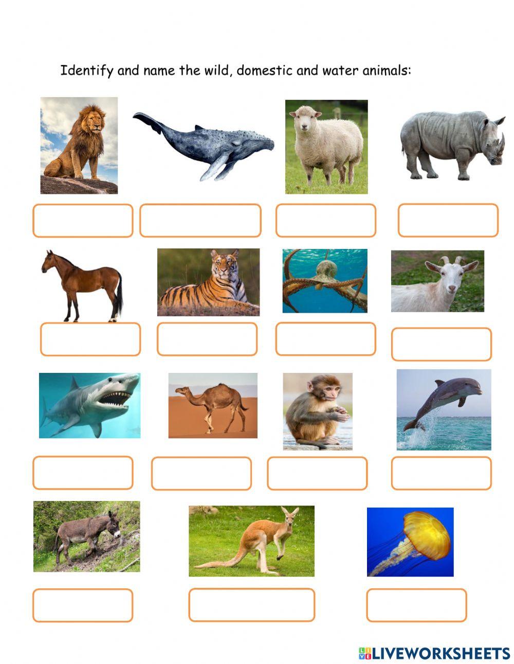 Freshwater Animals Names