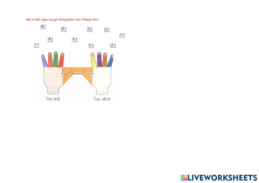 Hàng phím trên worksheet | Live Worksheets