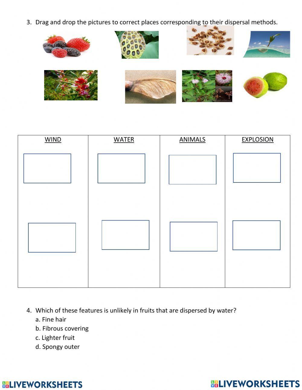 Growing plants 2154925 | Shaweta | LiveWorksheets