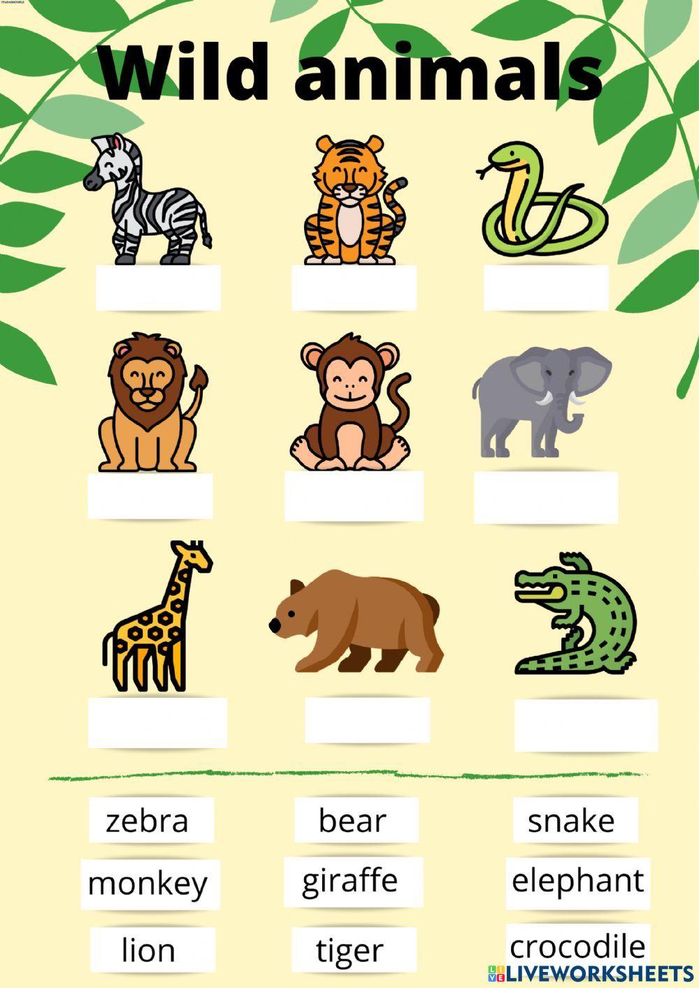 Wild animals online exercise for Grade 4 | Live Worksheets