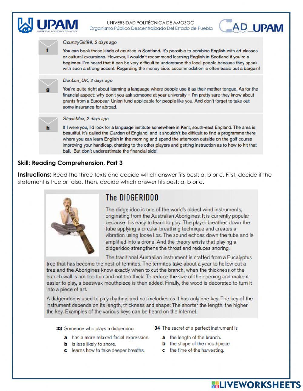 Reading Test B1-B2 online exercise for | Live Worksheets