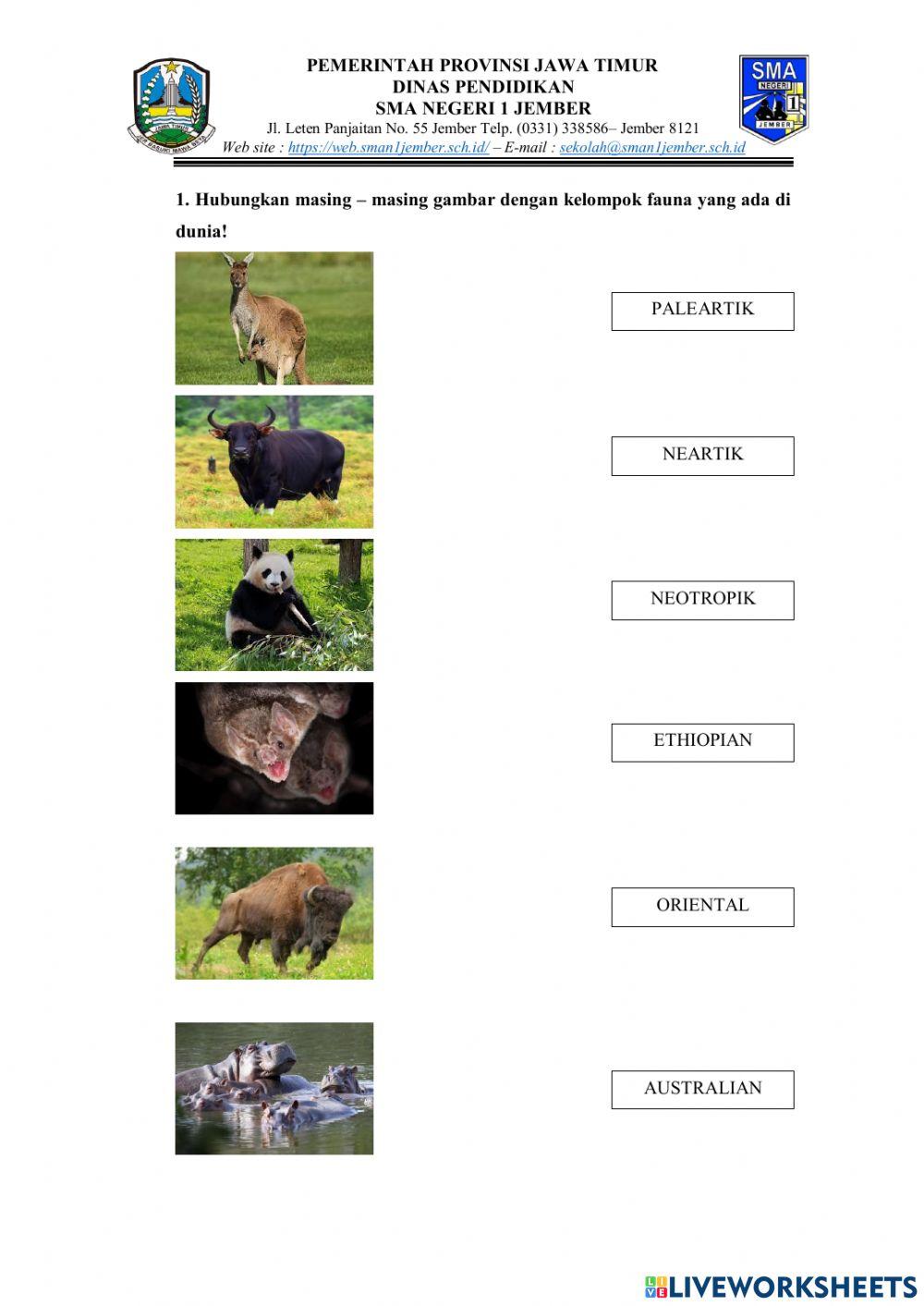 LKPD Persebaran… | Free Interactive Worksheets | 2155763