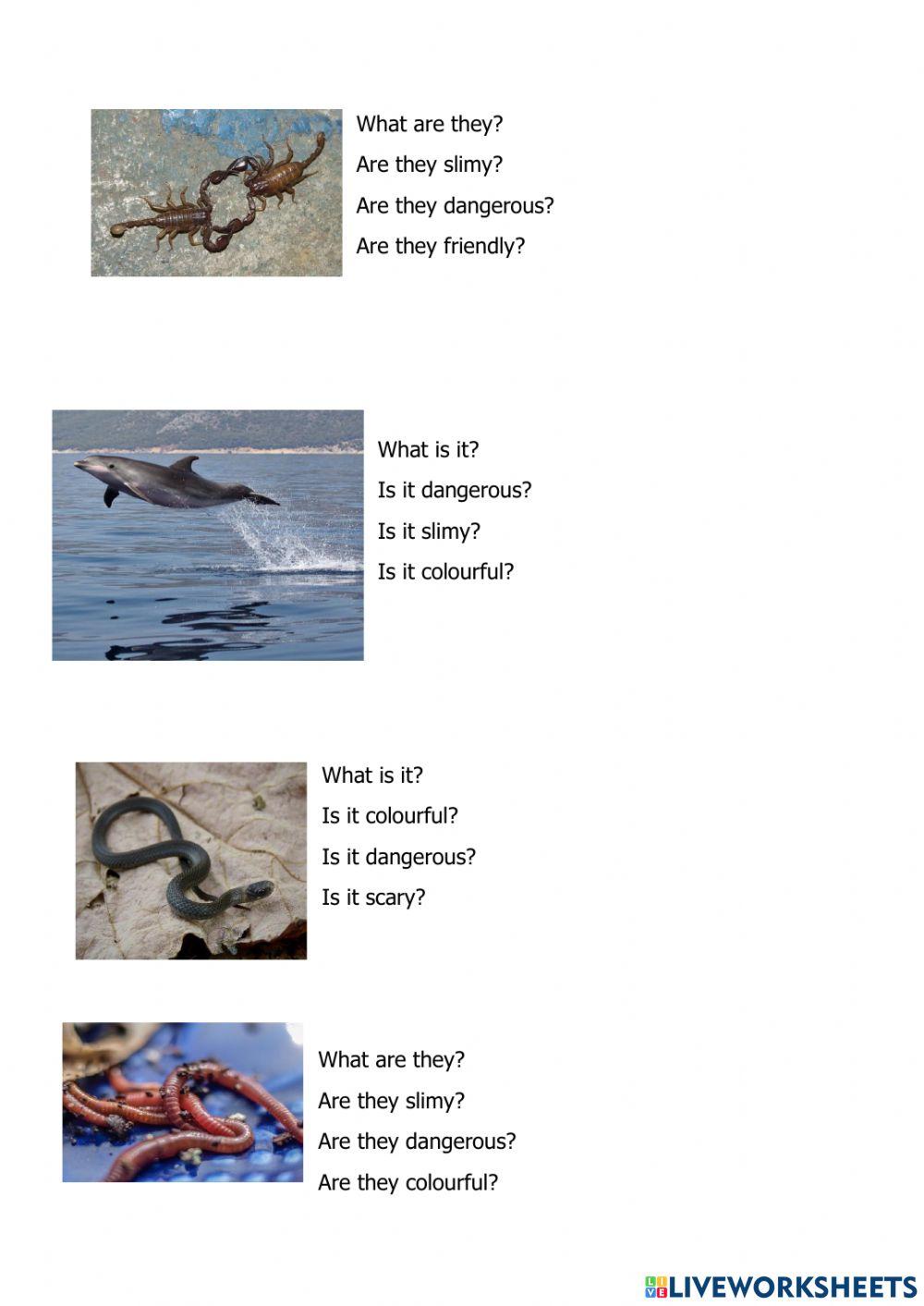 Open up 3 anima… | Free Interactive Worksheets | 2156619