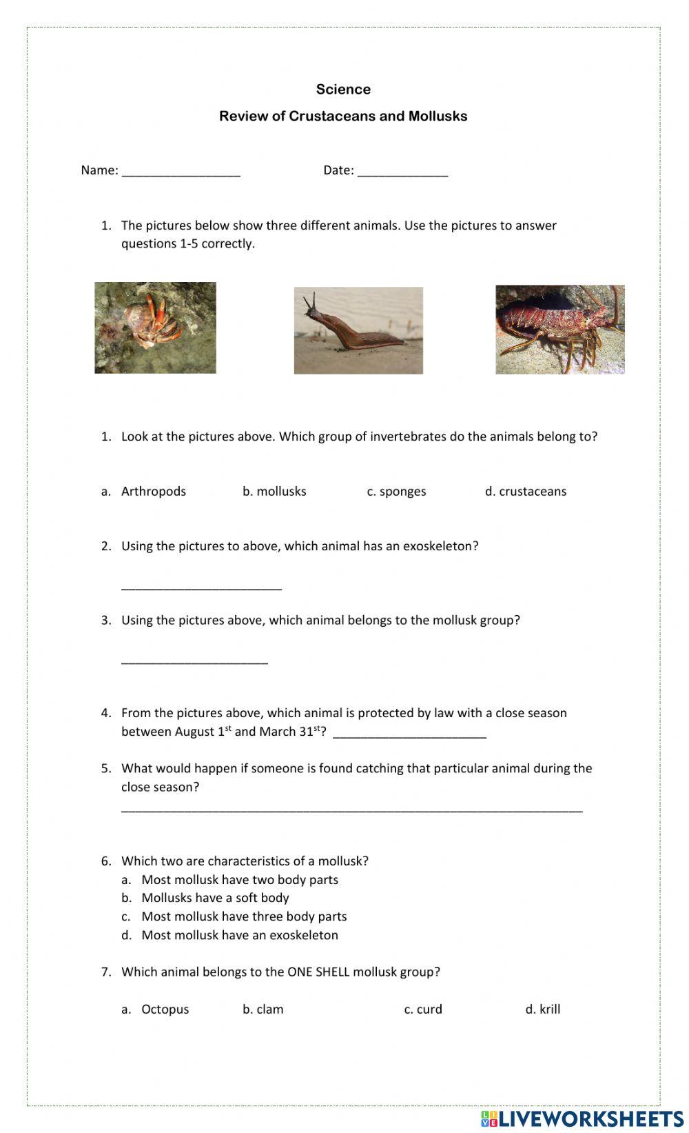 Crustaceans and… | Free Interactive Worksheets | 2158209