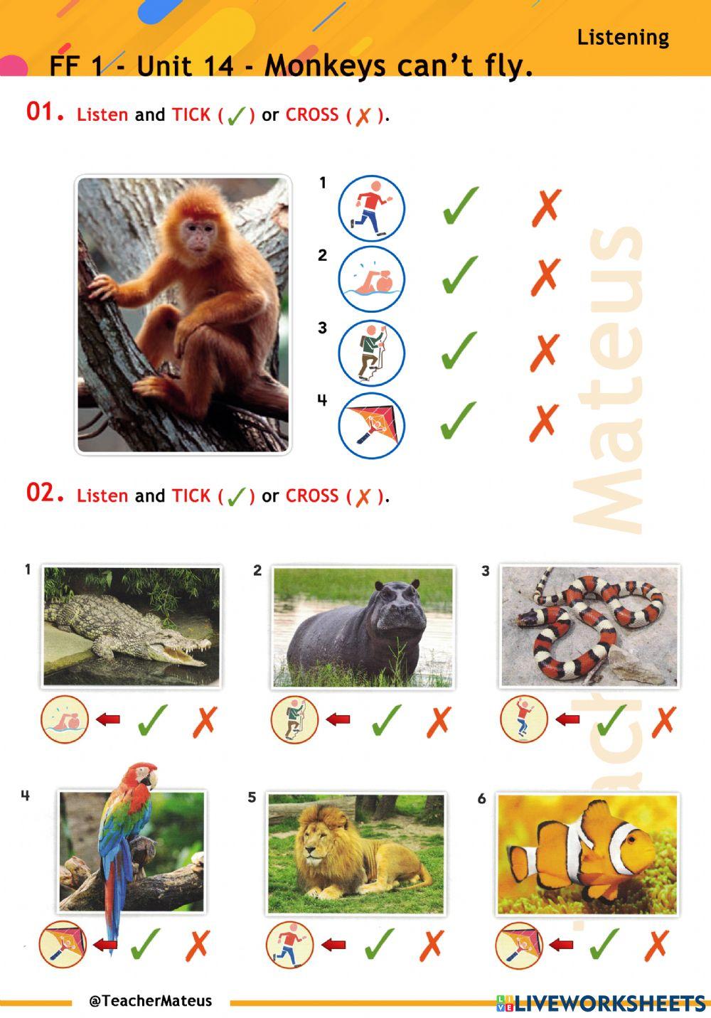 FF 1 - Unit 14 - Monkeys can't fly. - Listening 2159140