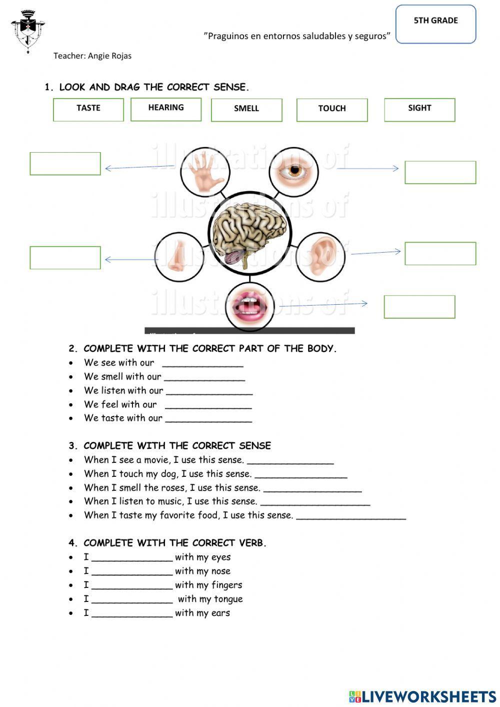 SENSES online exercise for Grade 4th to 6th | Live Worksheets