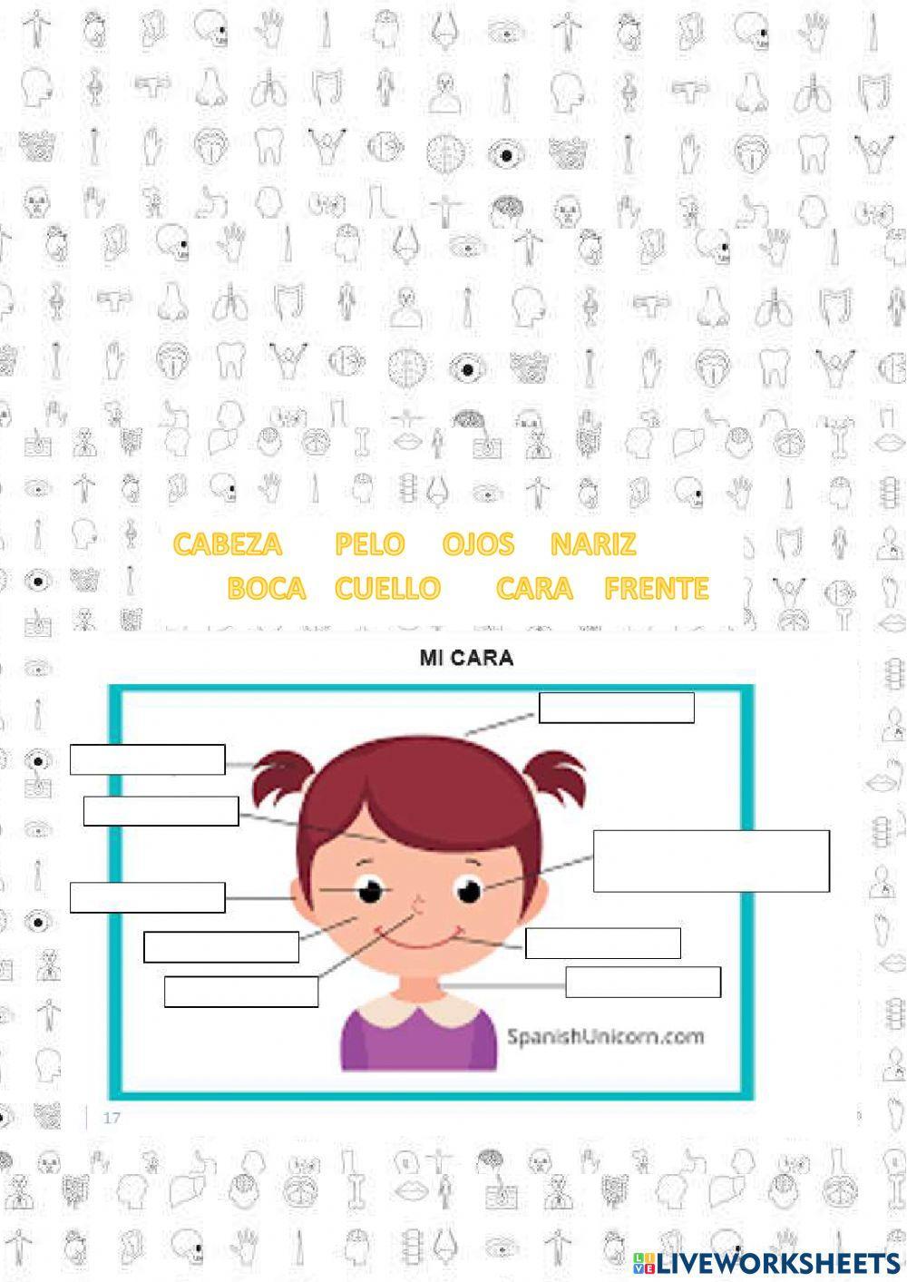 La cara interactive exercise | Live Worksheets