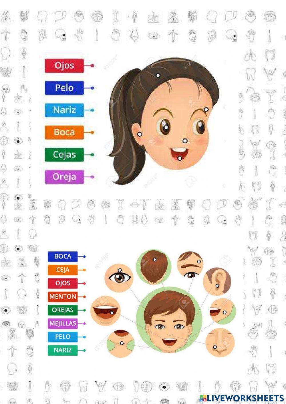 La cara interactive exercise | Live Worksheets