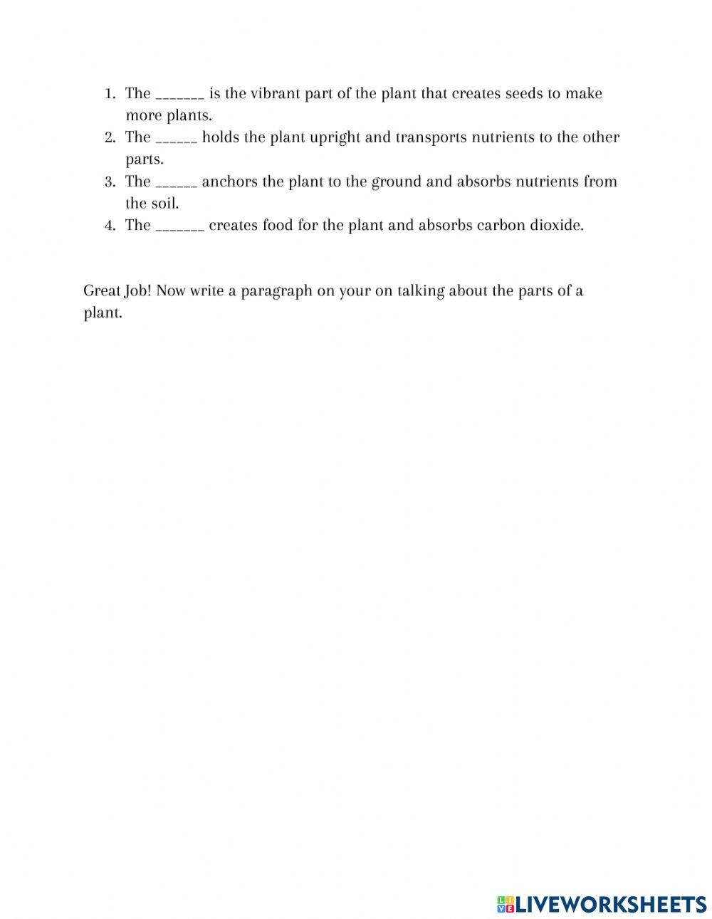Parts of a Plant (Recap) worksheet | Live Worksheets