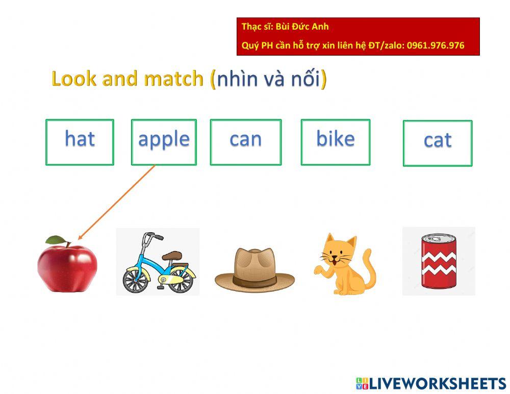 G1: Practice 1 worksheet | Live Worksheets