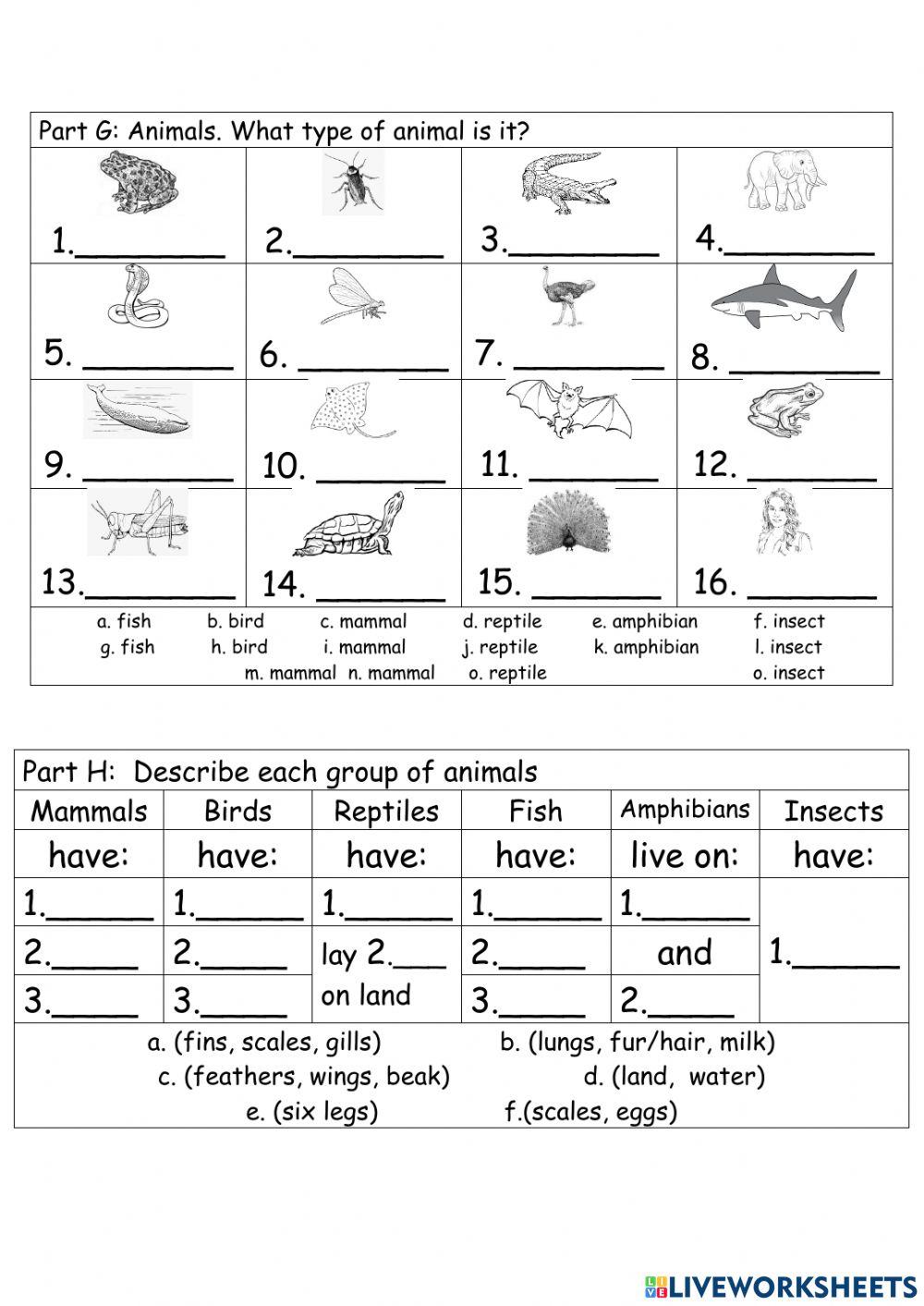 P 3 1 4 English For Science Midterm Review Worksheet Online Exercise p-3-1-4-english-for-science-midterm-review-worksheet-online-exercise