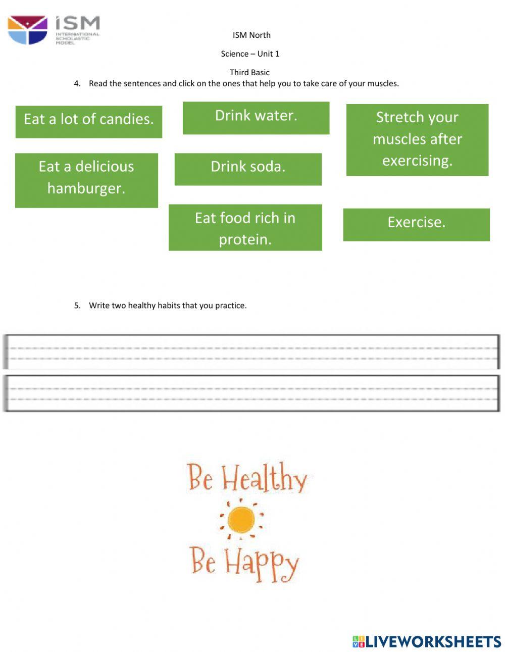 Muscles AND bones online exercise | Live Worksheets