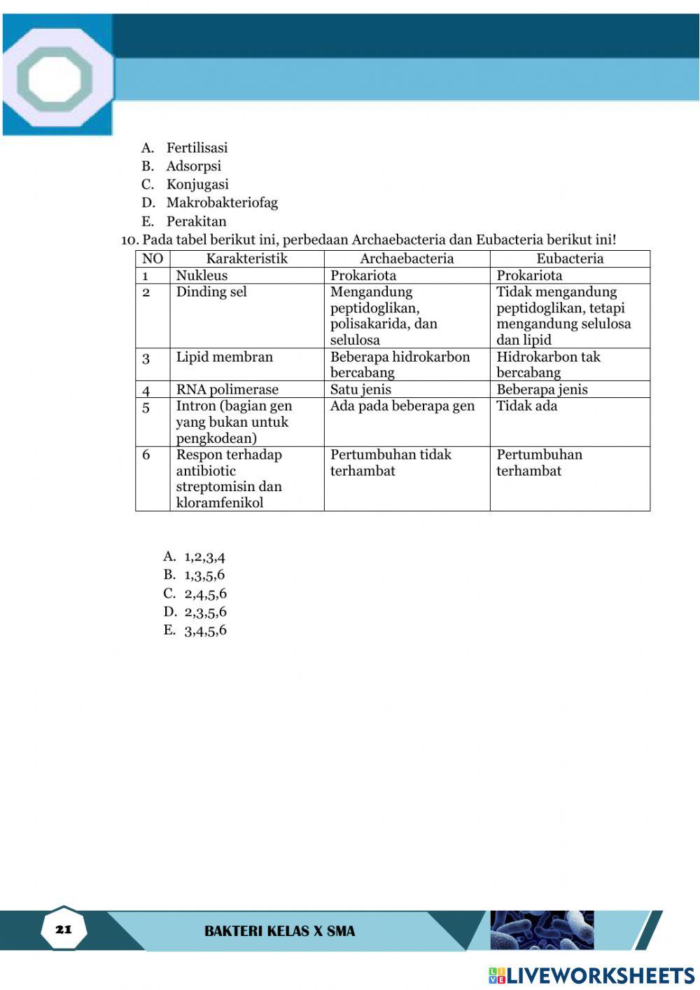Test Formatif exercise | Live Worksheets