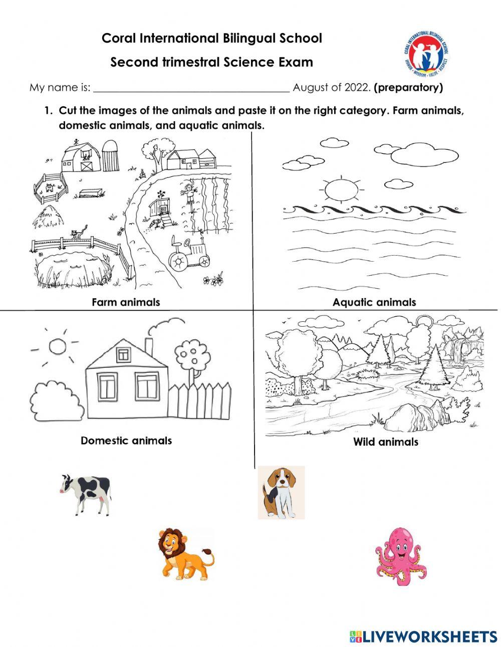 Science exams worksheet | Live Worksheets