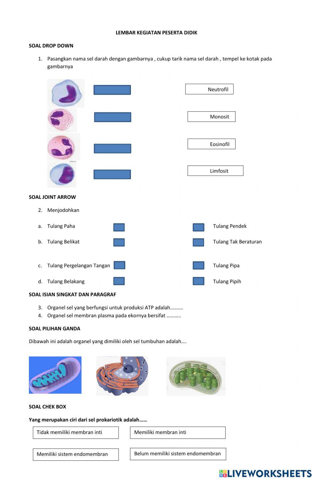 Lkpd biologi online exercise for 11 | Live Worksheets