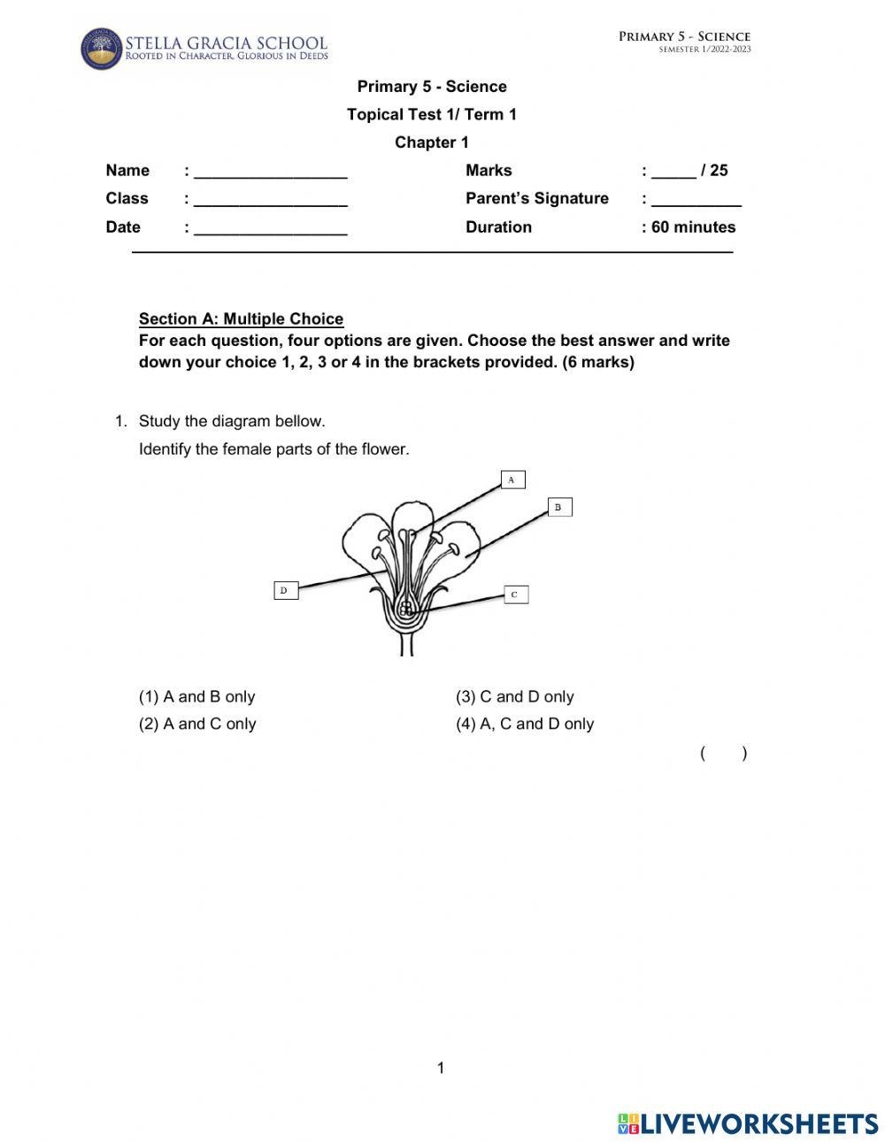 P5-Topical Test 1 worksheet | Live Worksheets