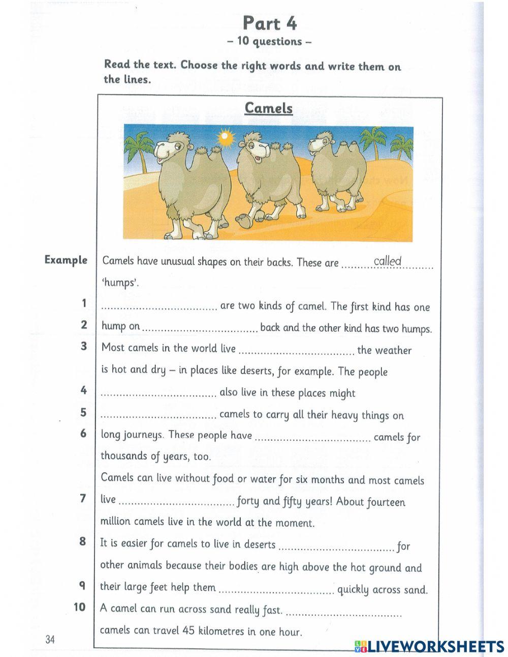 Flyers Authentic 3-Part 4 online exercise for | Live Worksheets